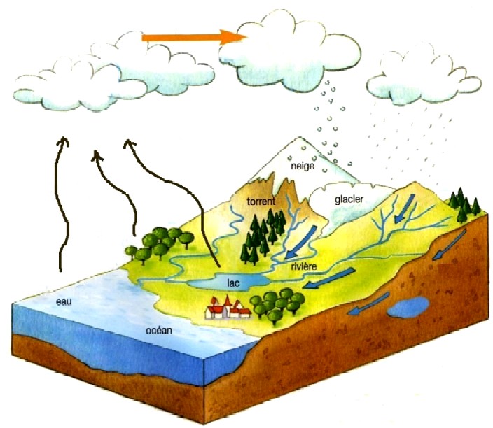 Les états de l’eau et le cycle de l’eau – Du côté de la salle 5…